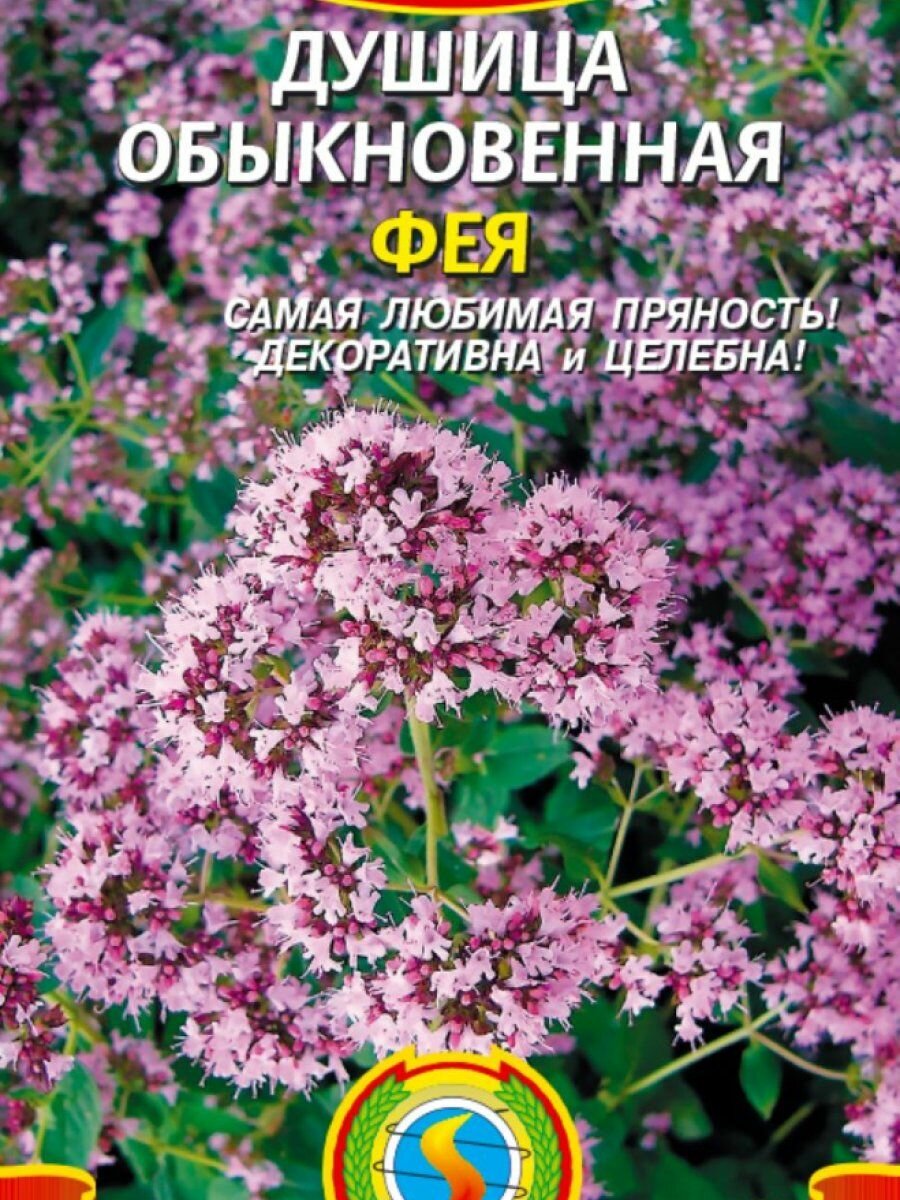 Душица (орегано) Фея 0,1 г, Плазменные семена