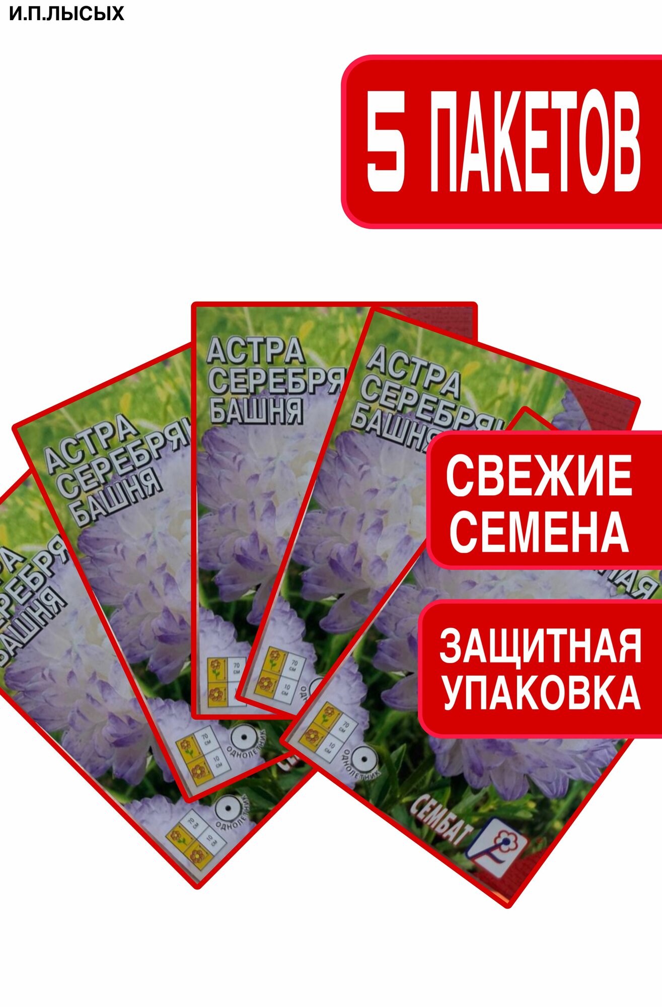 Семена Астра "Серебряная Башня"