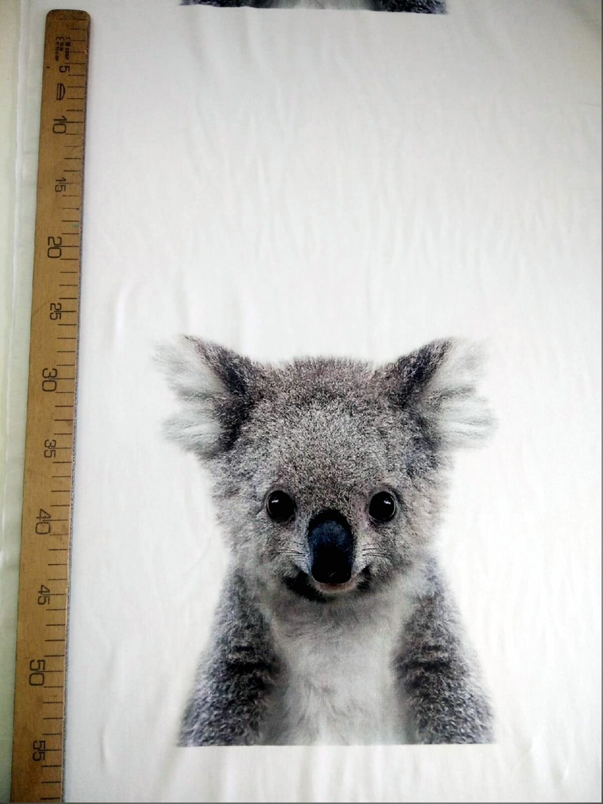 Трикотаж кулирка с лайкрой купон "Коала", ткань для шитья, 53*180