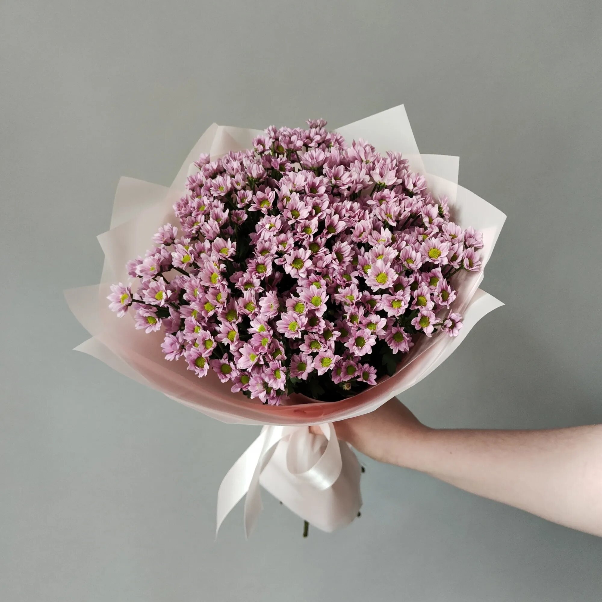 Букет Хризантема сантини "Мадиба Танга Розовая" 7 шт Высота 55 см в коробке и аквабоксе от "Простоцветы"