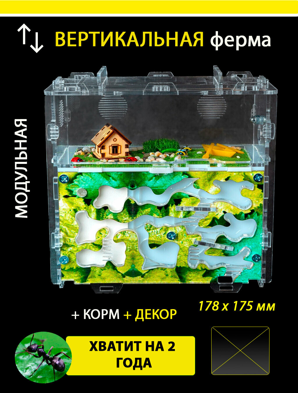 Муравьиная ферма (формикарий) вертикальная AntFarmsNsk