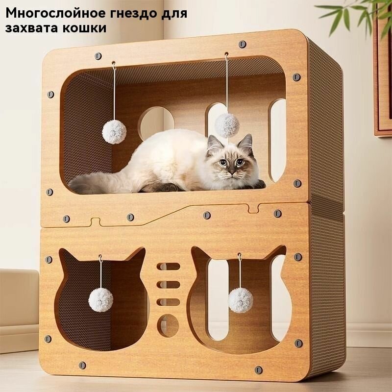 Три этажа кошачьего гнезда