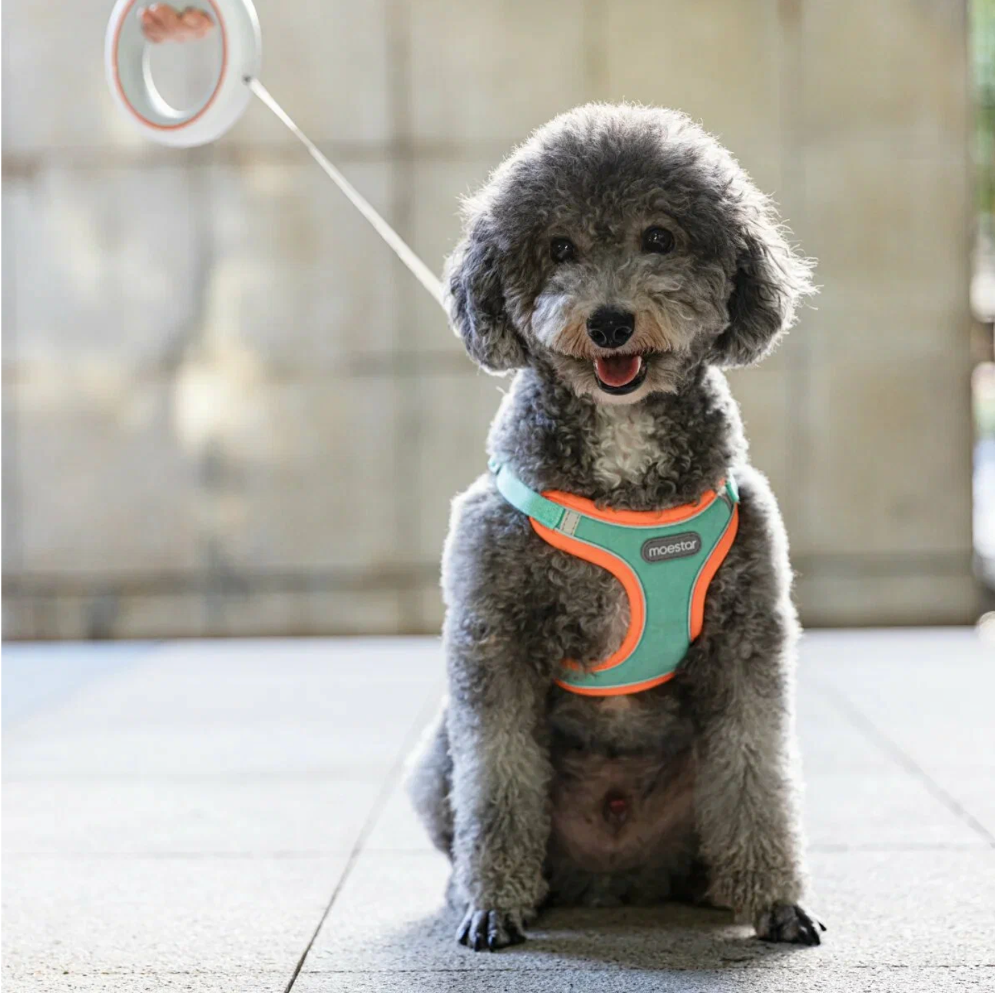 Шлейка Moestar (Хiaomi) Pet Harness, размер L