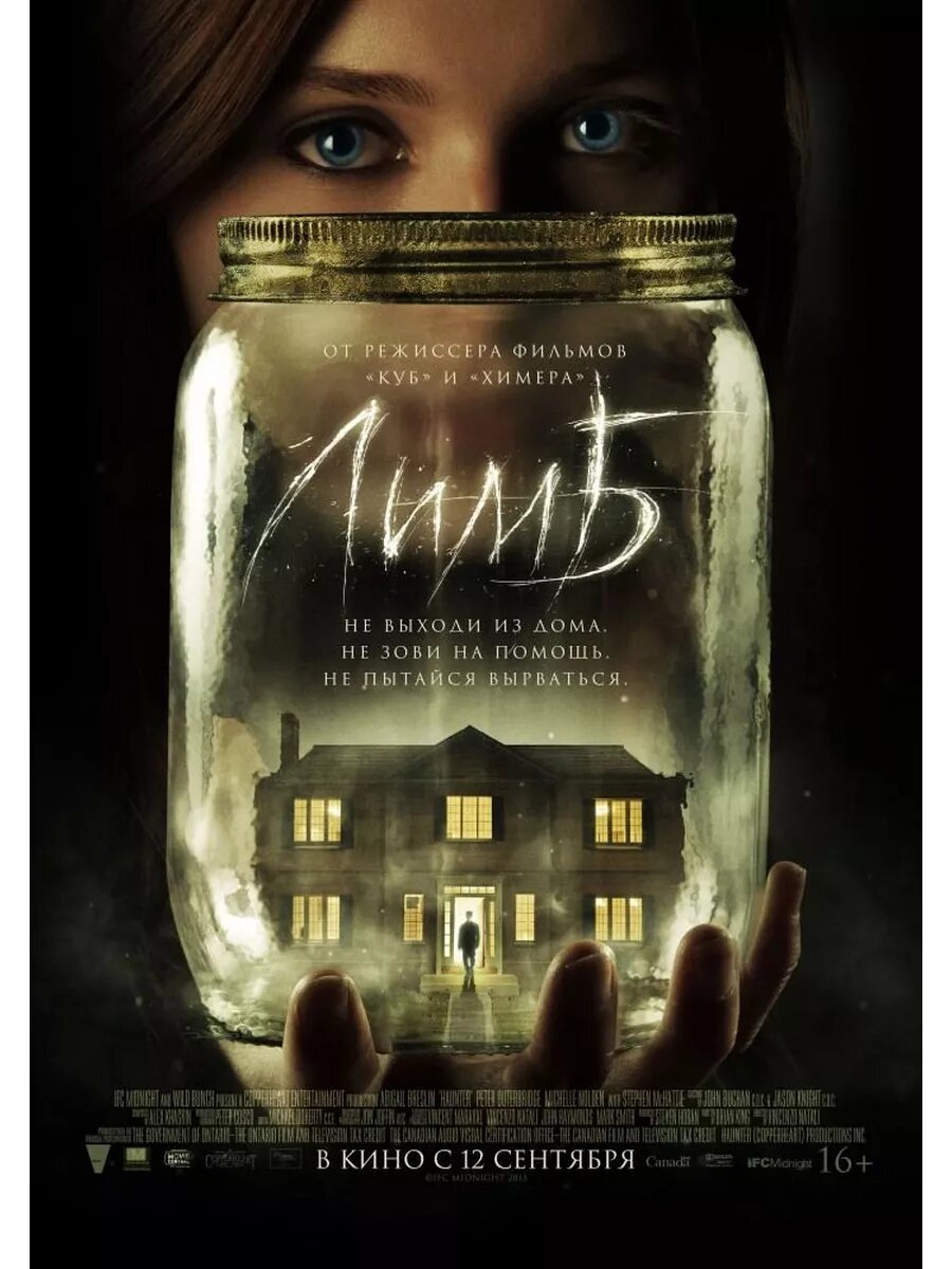 Лимб (2013) (DVD-R)