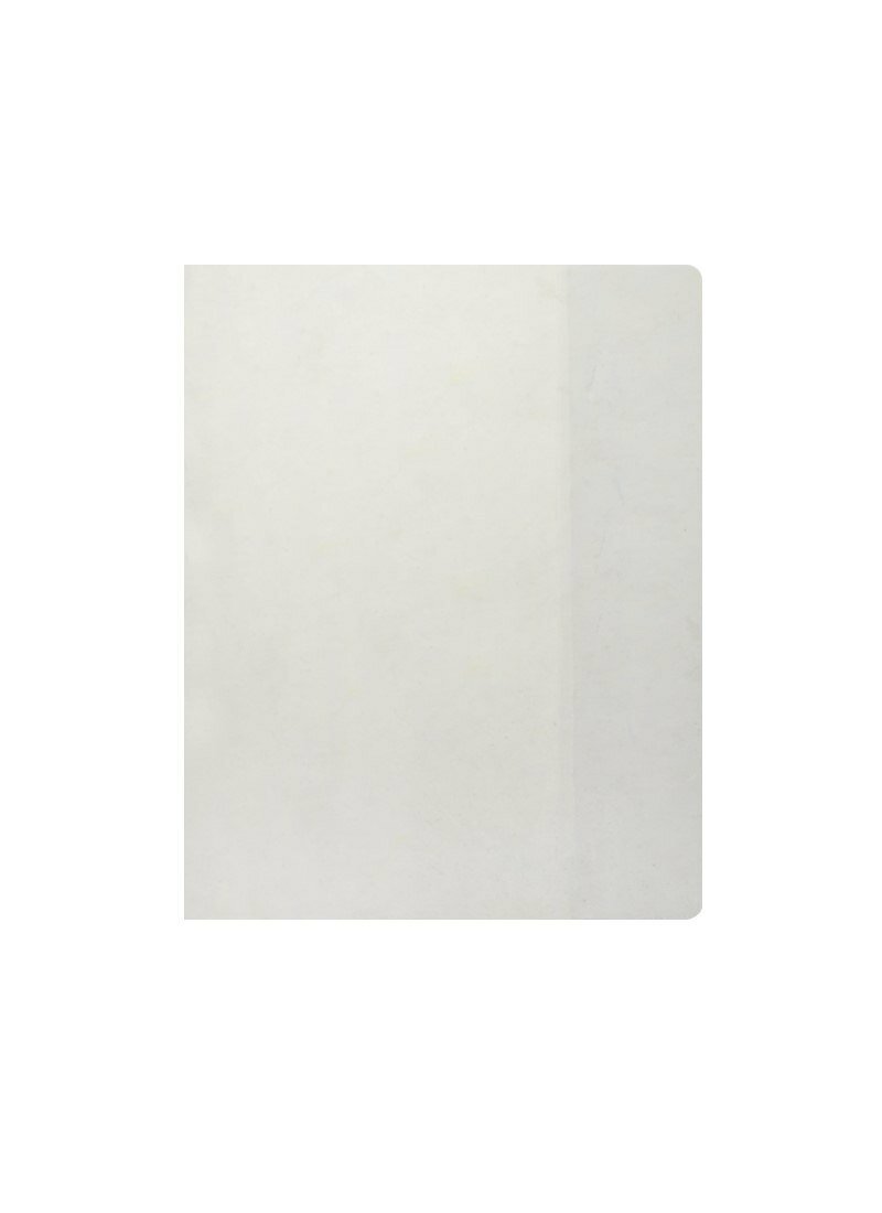 Обложка для тетрадей, учебников и школьного журнала, А4, 100 мкр