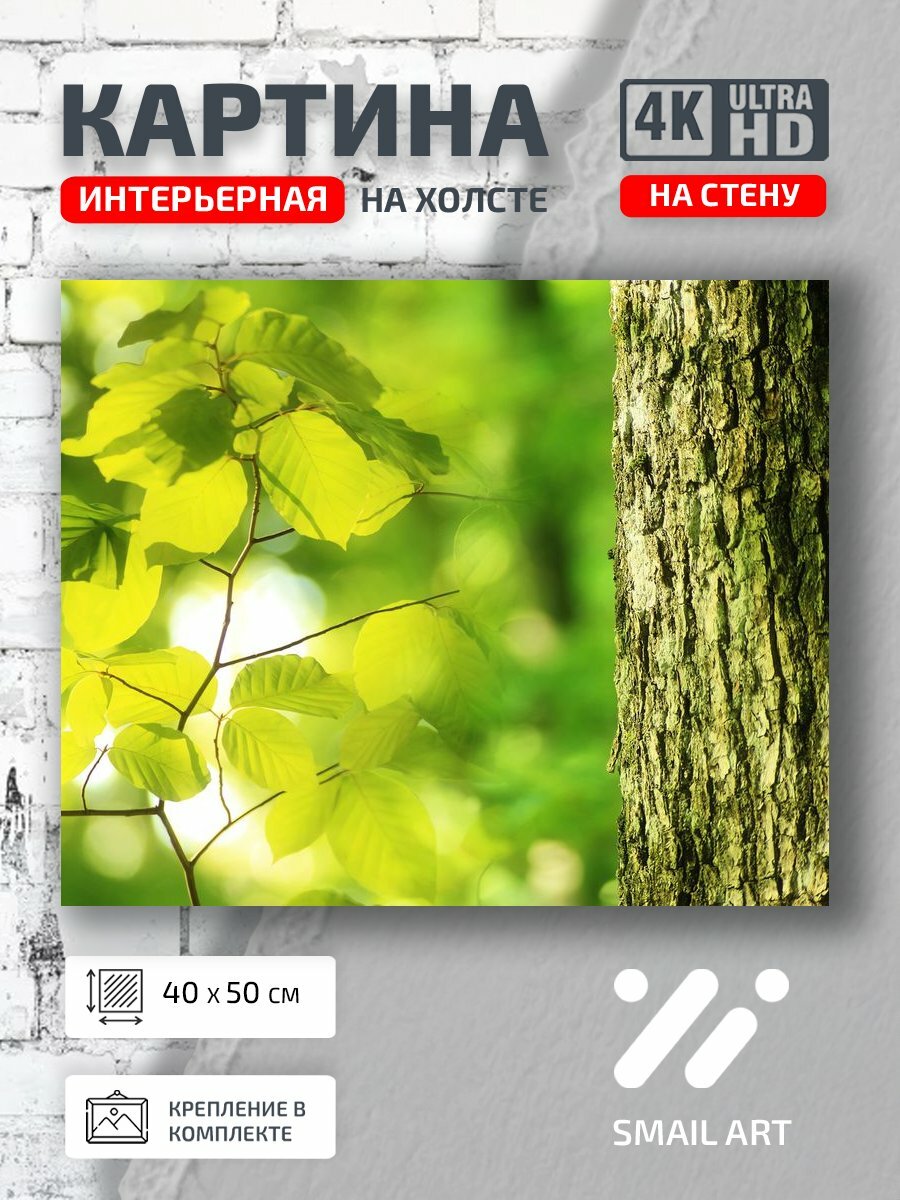 Картина на холсте интерьерная 40 на 50 на стену Дерева Landscape для кафе пейзаж интерьер