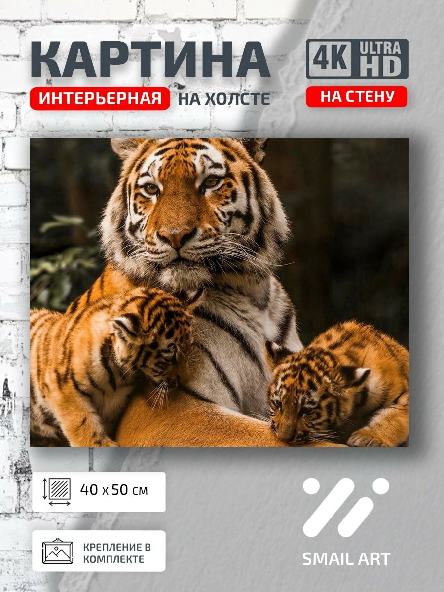 Картина на холсте интерьерная 40 на 50 на стену Животные Тигрята для спальни атмосфера
