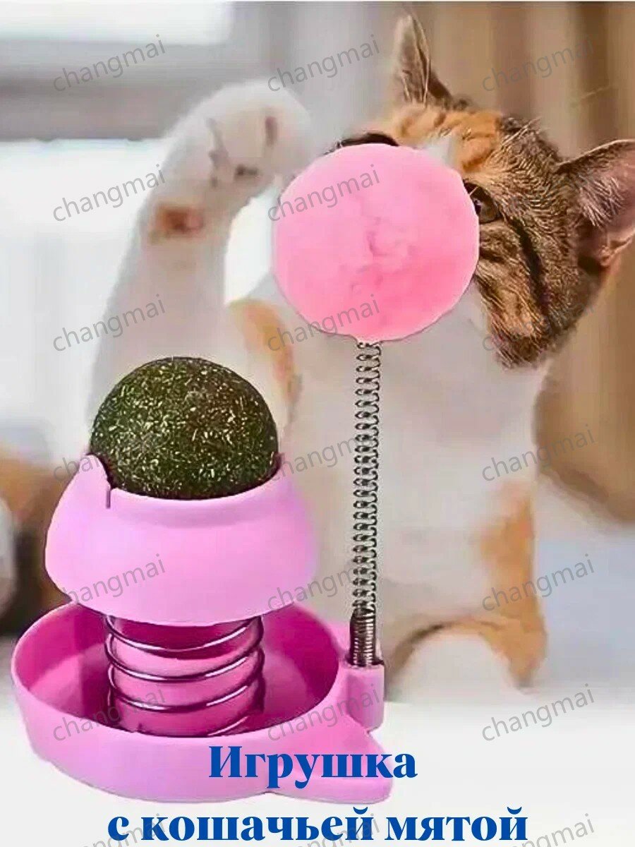 Игрушки для кошки, котят с кошачьей мятой, дразнилка на пружинке