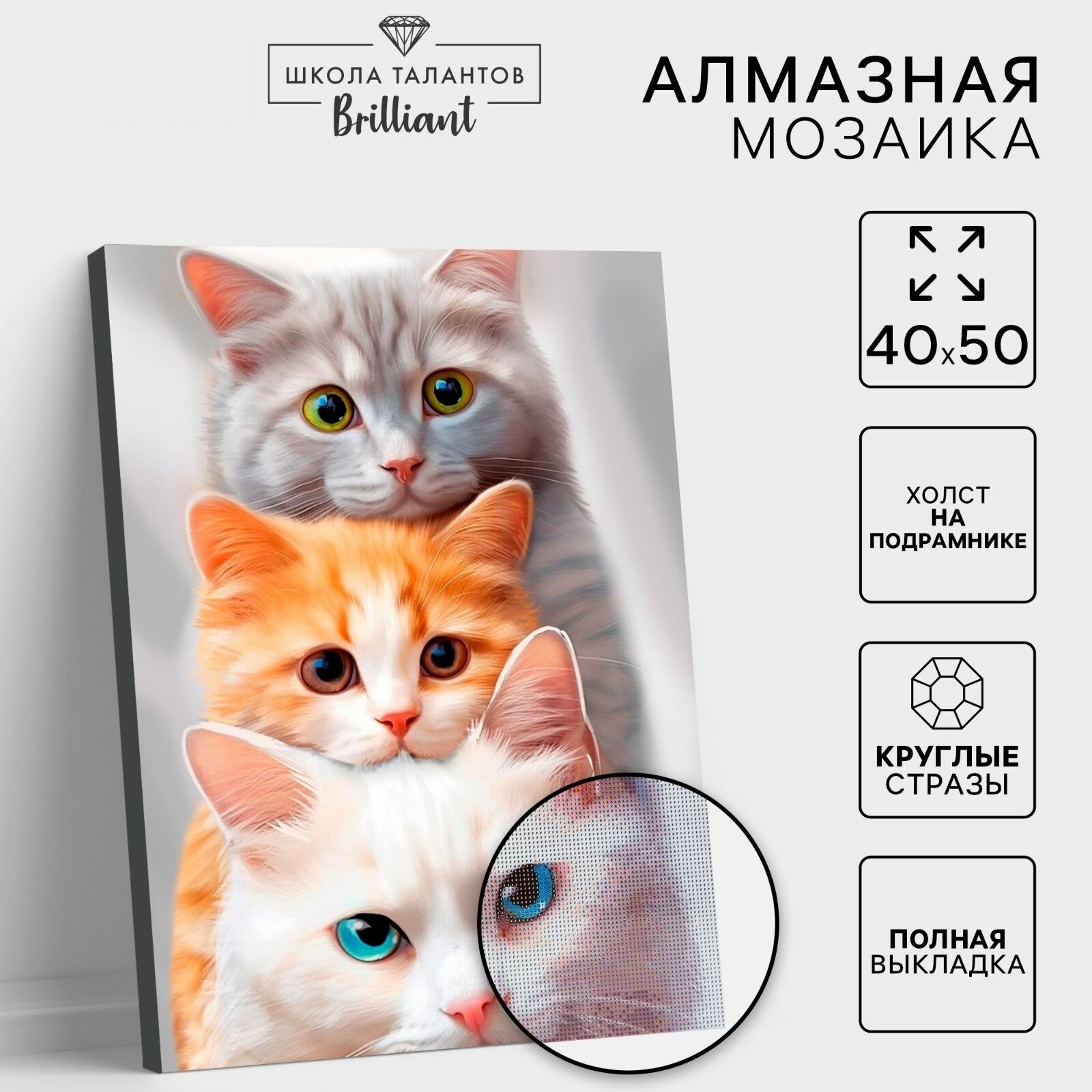 Алмазная мозаика полное заполнение Школа талантов "Котята", на раме, 40х50 см