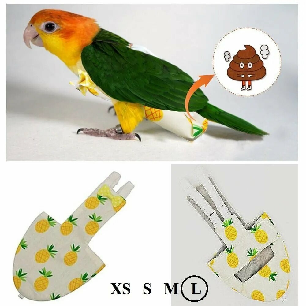 KNOW EASY-Памперсы, подгузники, трусы для птиц, попугаев