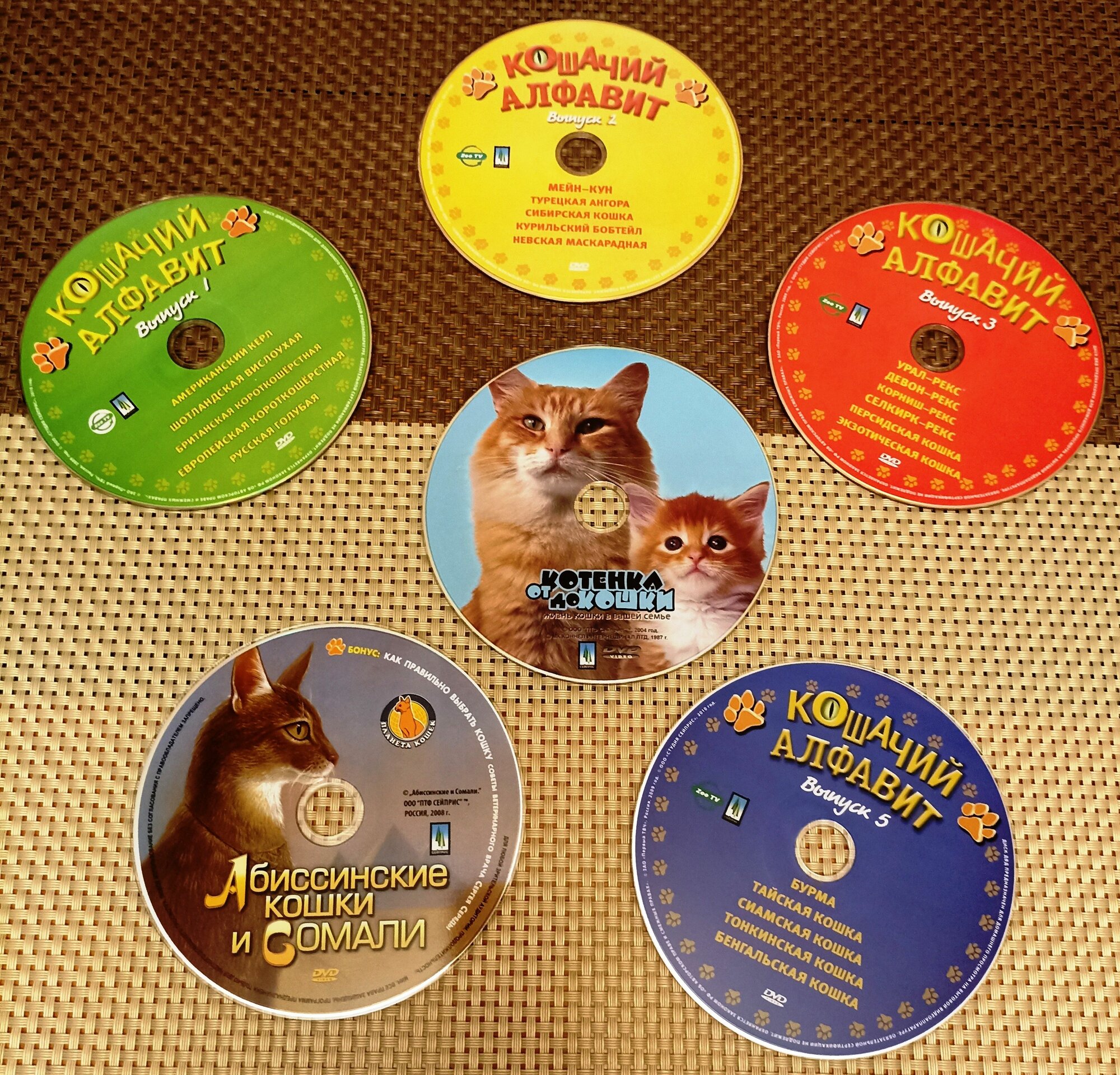 Все о кошках. Фильмы о кошках. Набор dvd - дисков, 6 штук