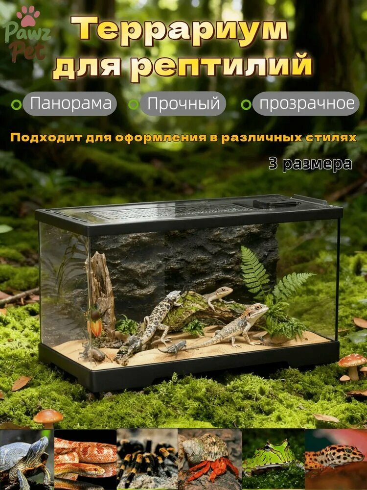 Террариум с крышкой для рептилий и амфибий: ящериц, змей, черепах, улиток, пауков. Прозрачный акриловый контейнер