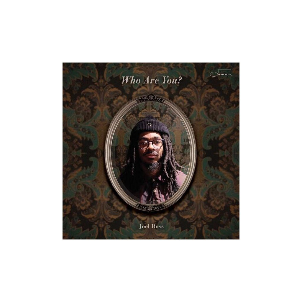 Виниловая пластинка Joel Ross - Who Are You? (2 LP)