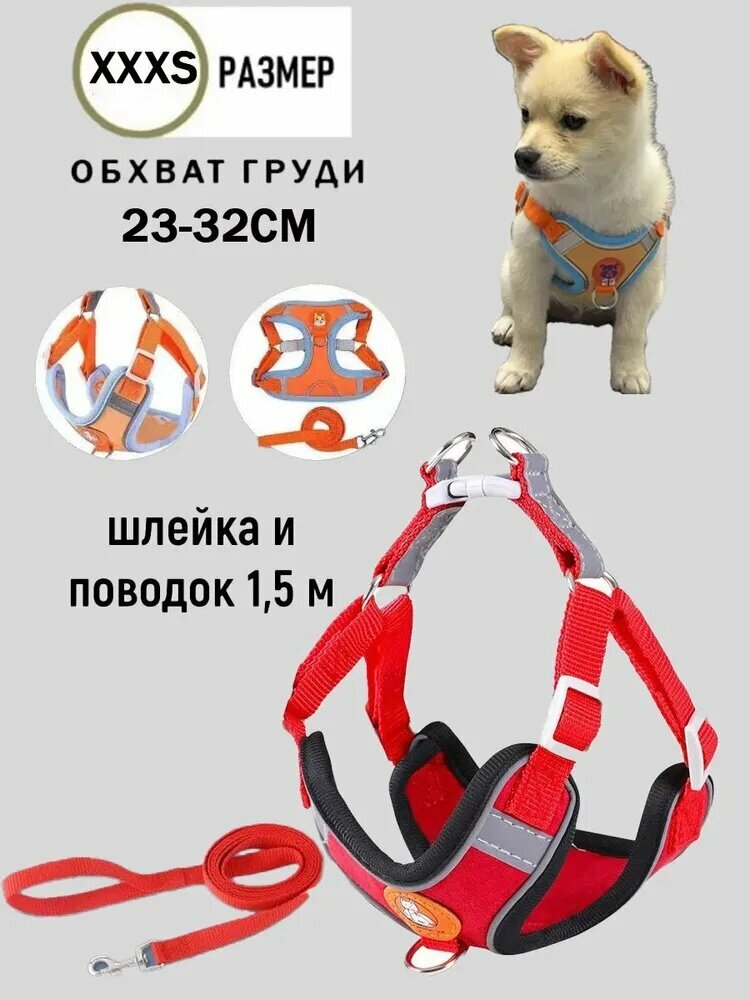 Шлейка для кошек с поводком, собак мелких пород. XXXS. Обхват груди 23-32 см. красный