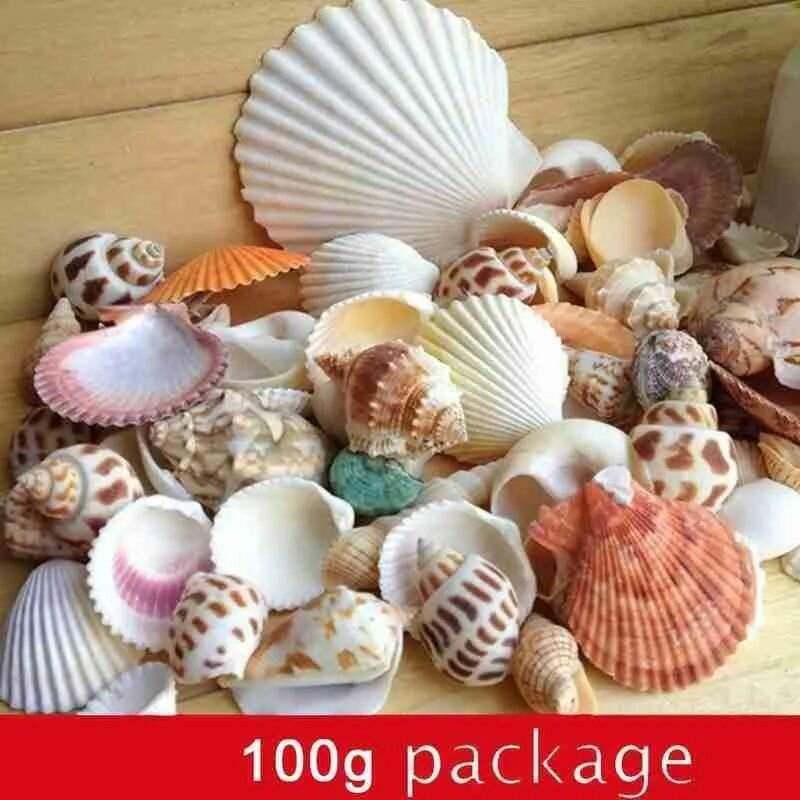 Морские ракушки 30шт. Подарочный Набор океанические ракушки для декора и творчества
