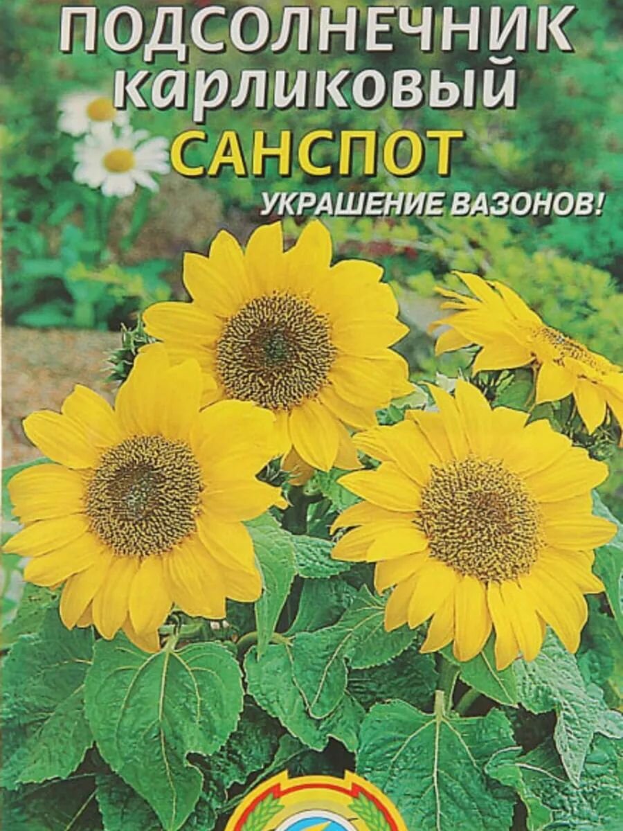 Подсолнечник Санспот карликовый 0,5 г, Плазменные семена