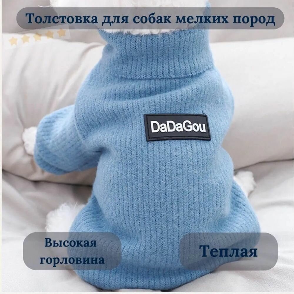 Одежда для животных
