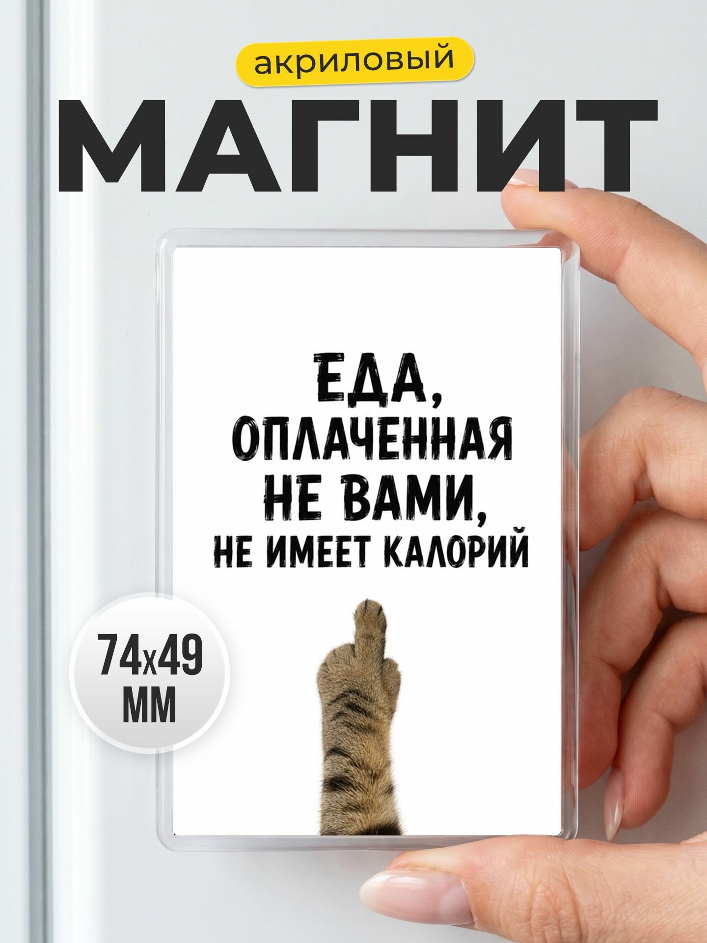 Магнит акриловый смешной с котом на холодильник