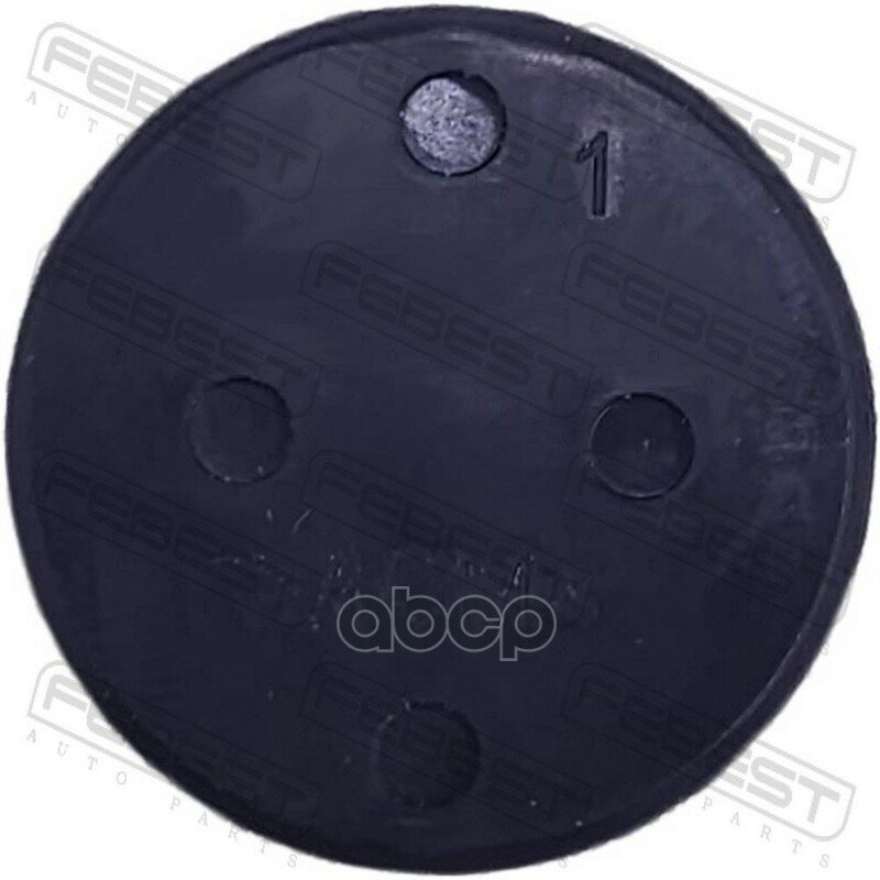 Заглушка в ГБЦ! Audi A3/A4/A5, VW Caddy/Golf/Passat 00> Febest арт. 23404001