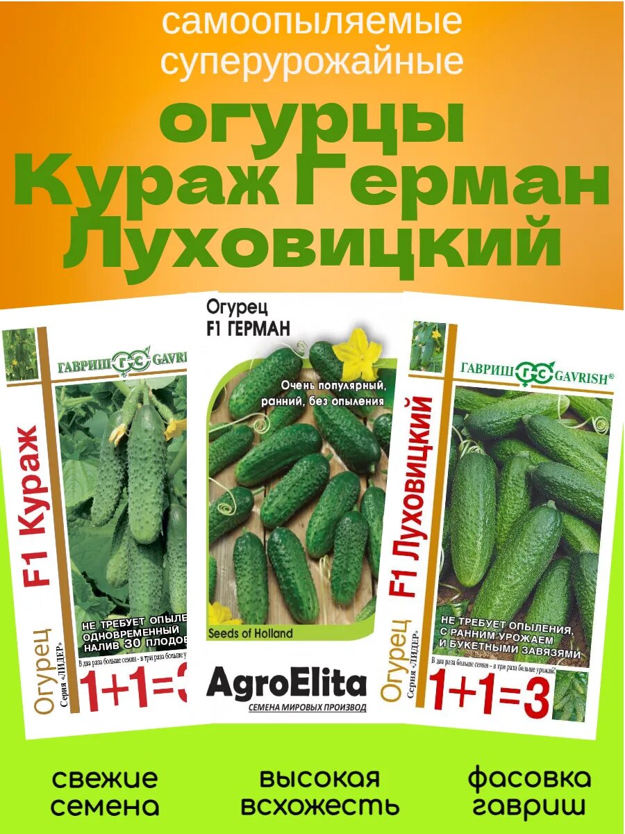 Семена огурцов самоопыляемых Кураж Герман Луховицкий 3 пак