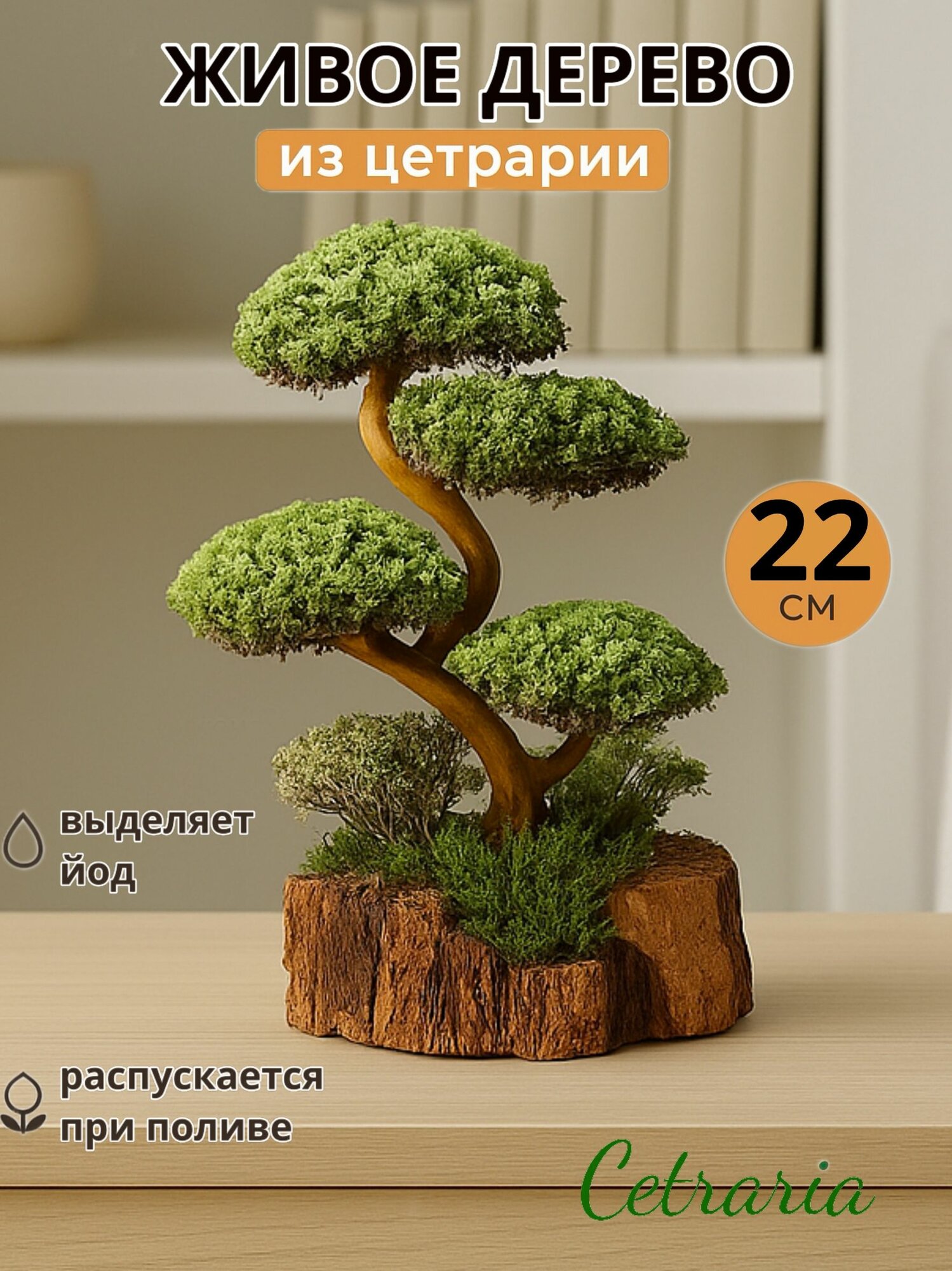 Интерьерное декоративное дерево из исландского мха Цетрария. Настольное украшение