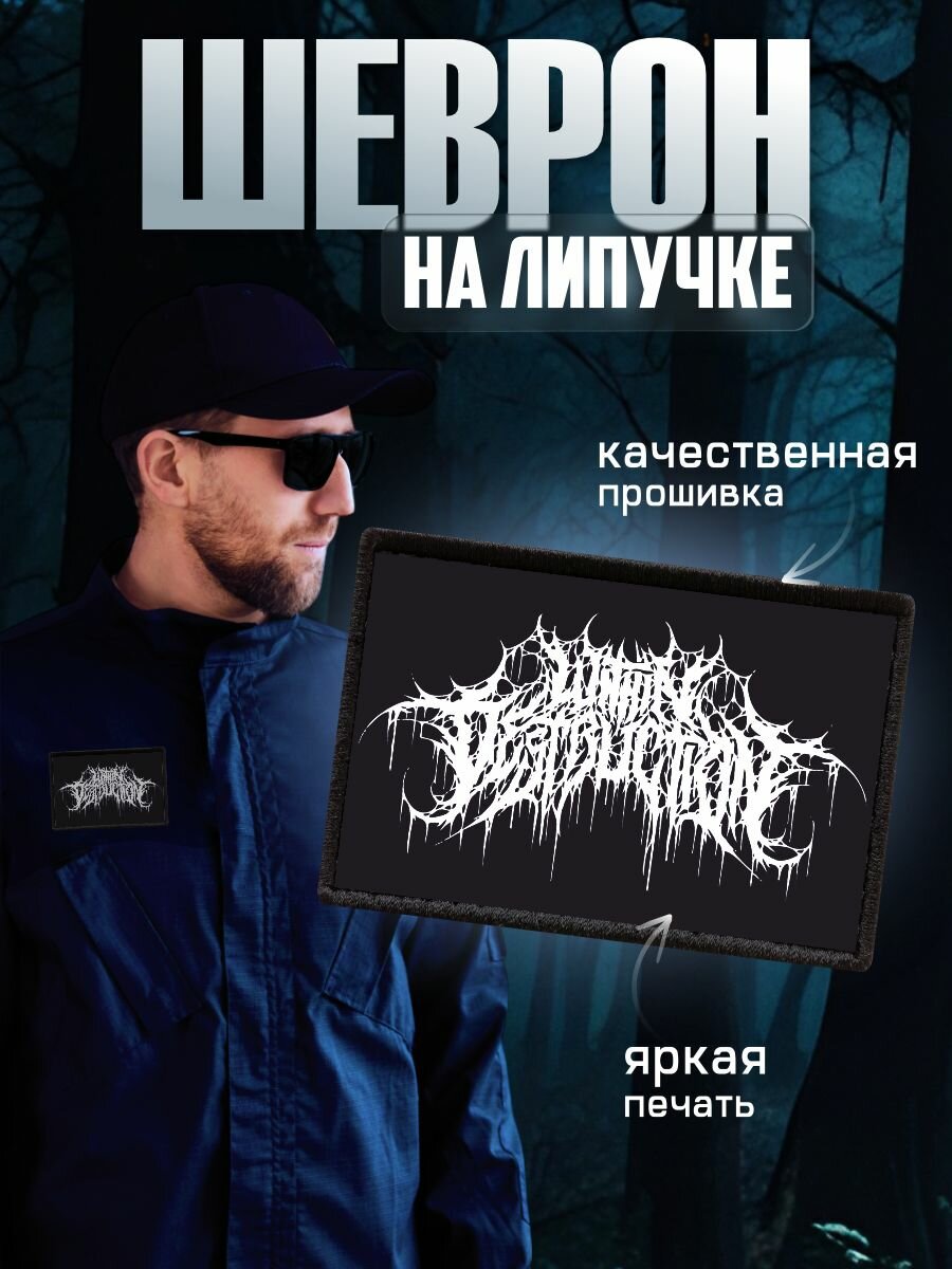 Шеврон на липучке, нашивка Within Destruction - рок группа