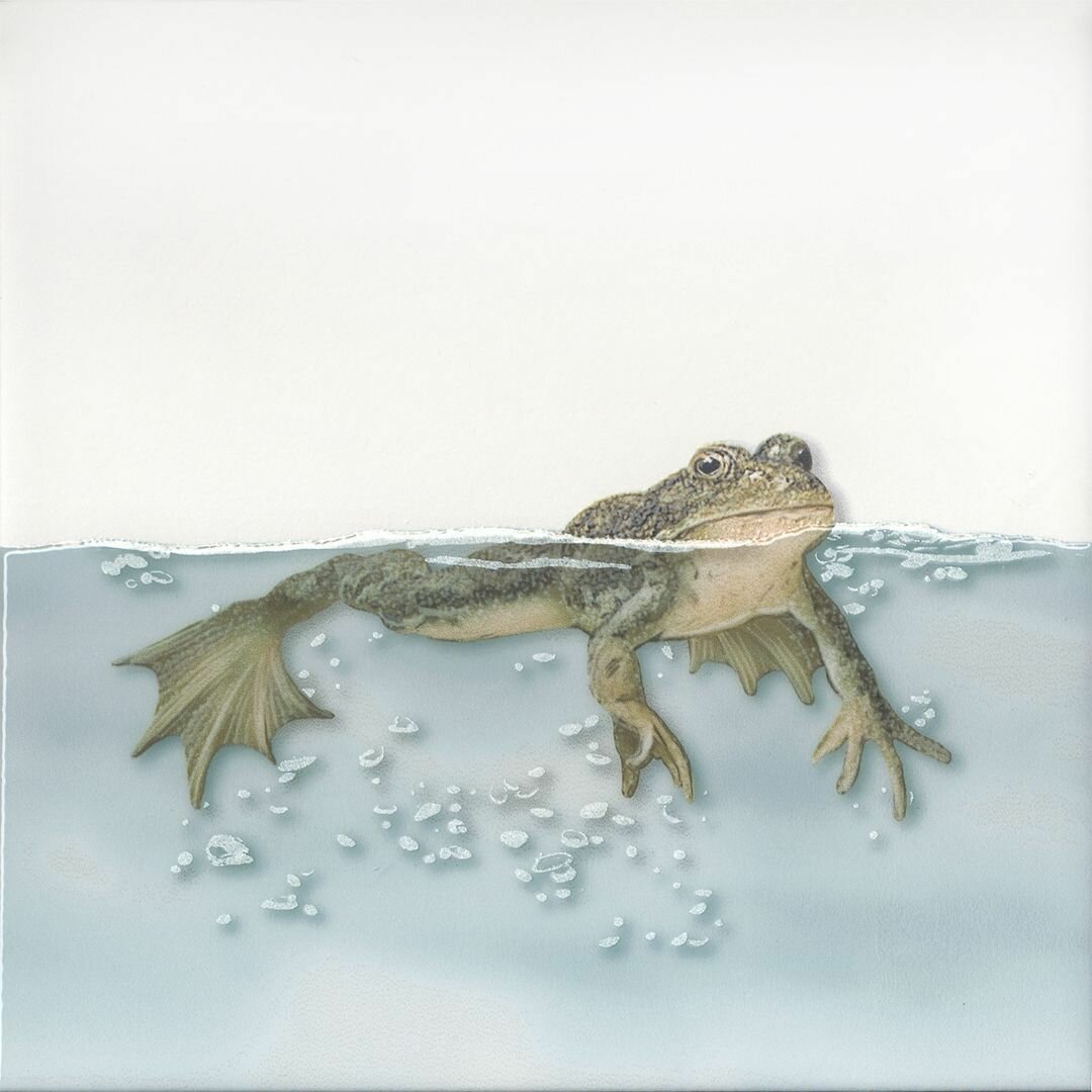 Керамическая плитка KERAMA MARAZZI VT/A472/5009 Декор Чудо-озеро 5 20x20x6,9 Цена за 1/шт