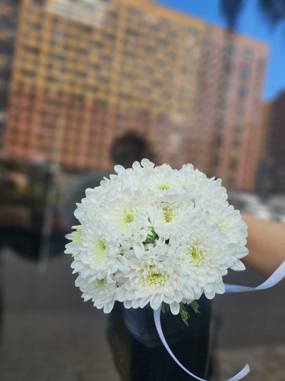 Мини букет их белых хризантем без упаковки с лентой ' Маленькая радость '