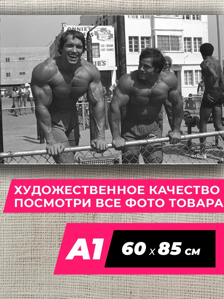 Постер Шварценеггер Арнольд на стену 28 A1, матовая фотобумага премиум качества