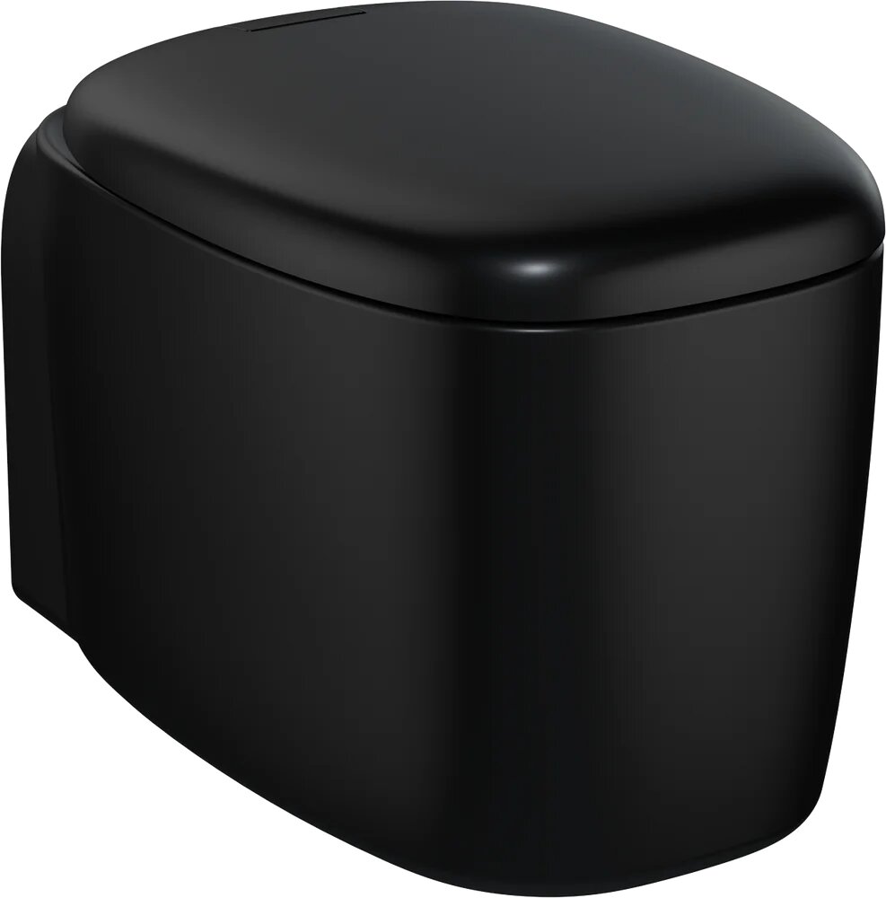 Унитаз подвесной VitrA Plural Rim-Ex 7830B483-0075 с микролифтом, безободковый, без бачка, фарфоровый, черный, матовый, овальный, сиденье для унитаза в комплекте