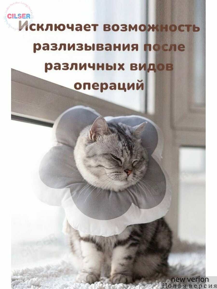 Воротник для животныхA — фото 1