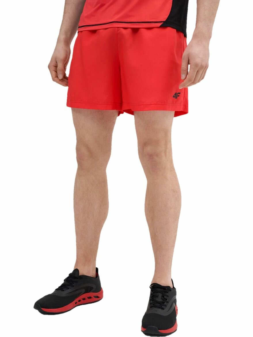 Шорты SHORTS FNK