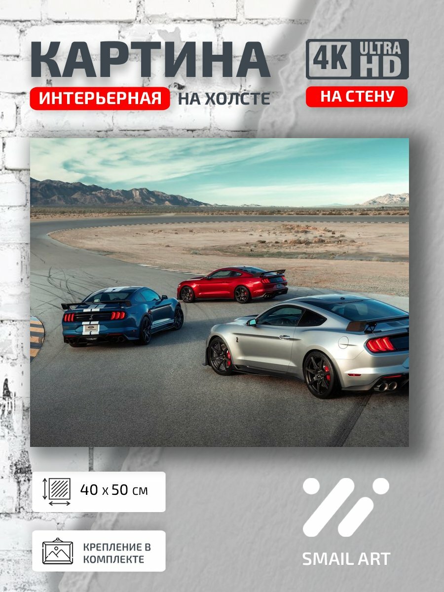 Картина на холсте интерьерная 40 на 50 на стену Трек Car для студии авто дизайн интерьер