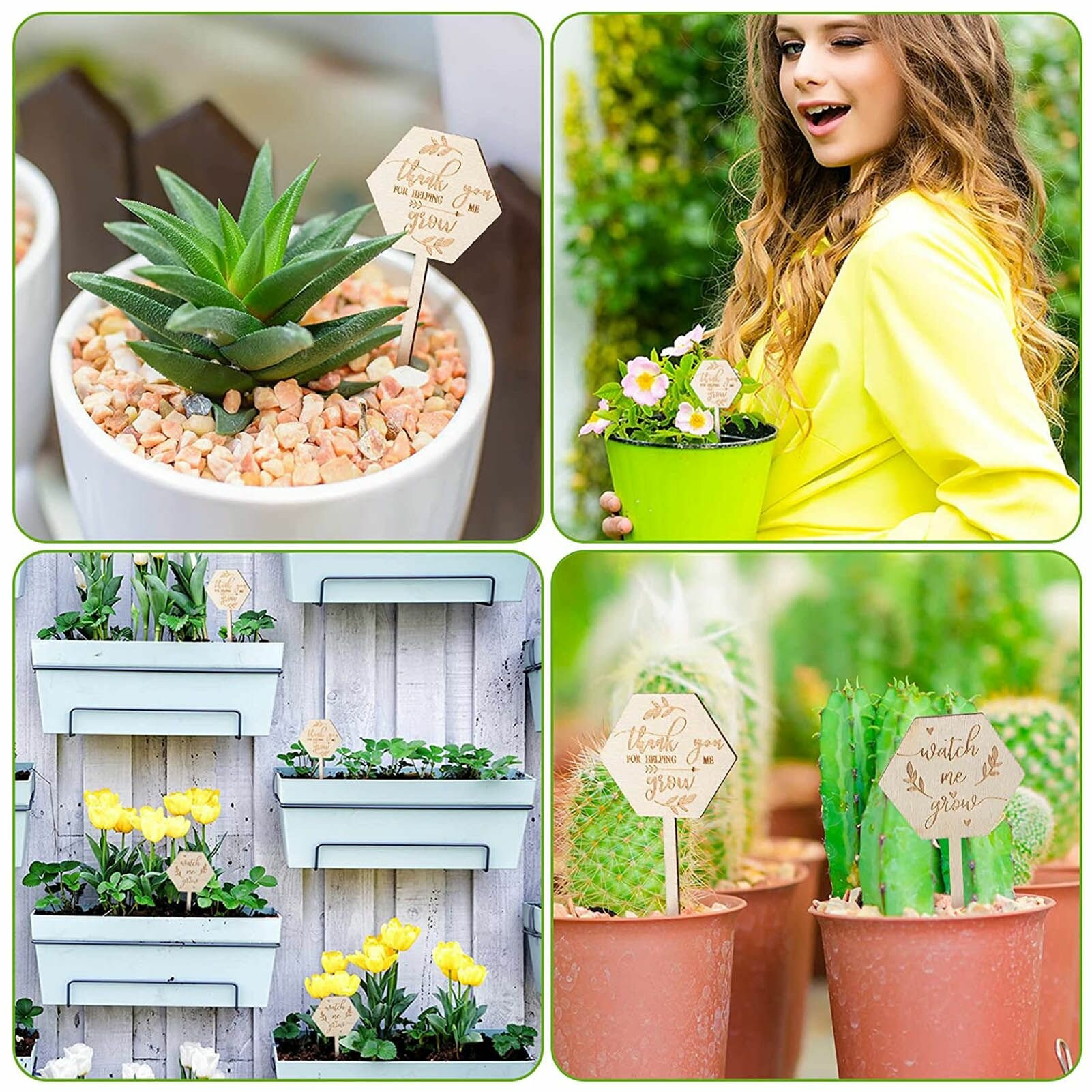 36 шт, сочные бирки Watch Me Grow, безопасные, экологически чистые, деревянные шестиугольные сочные бирки для украшения цветочного горшка, растения