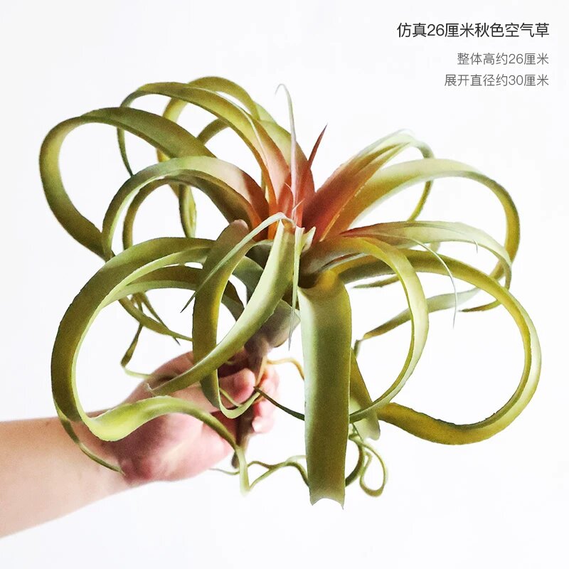 Имитация флокированного воздуха, ананаса, фигурных листьев, травы, большие суккуленты в пустыне, скандинавская