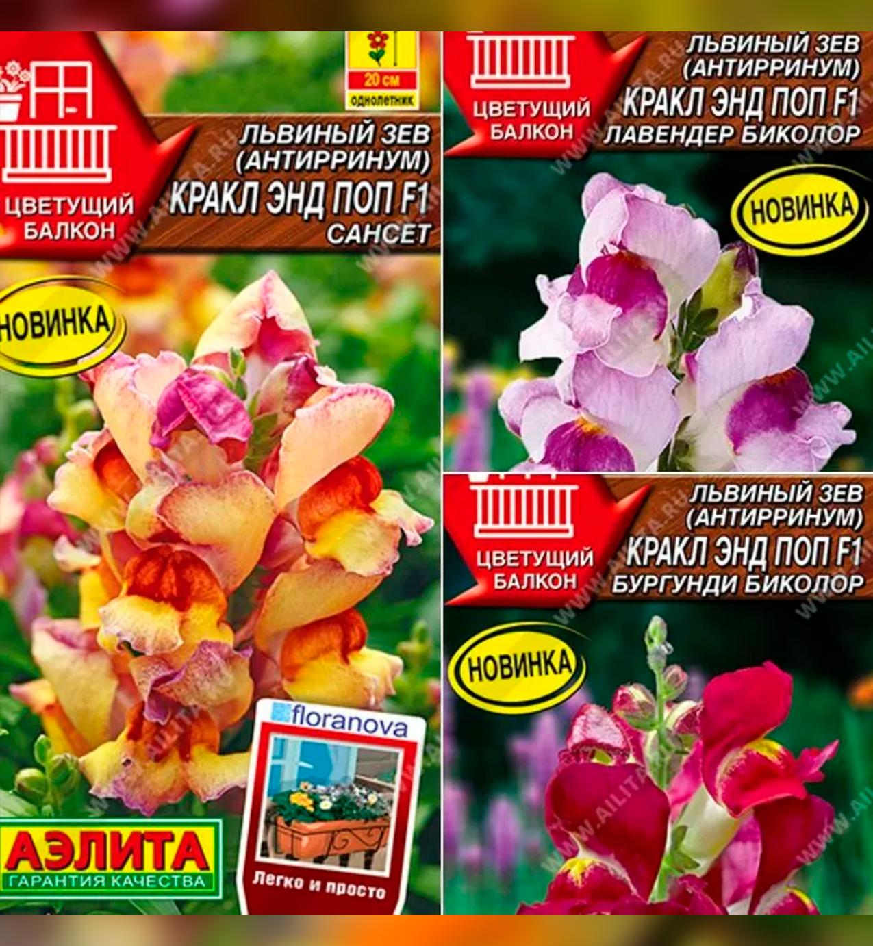 Набор семян цветов Львиный зев (антирринум) Кракл Энд Поп 3 пачки