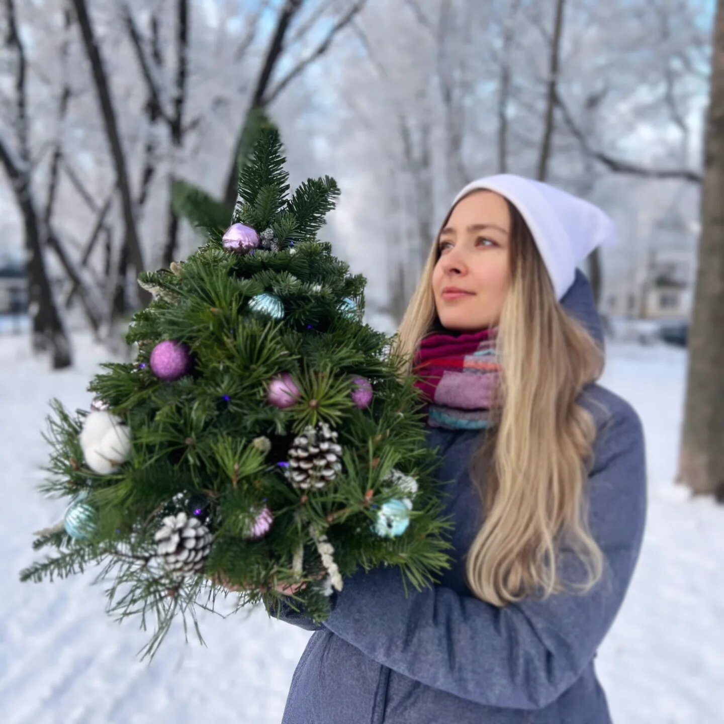 Ёлка живая "Lavanda"