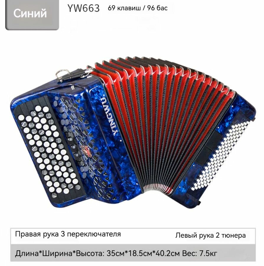 Баян
