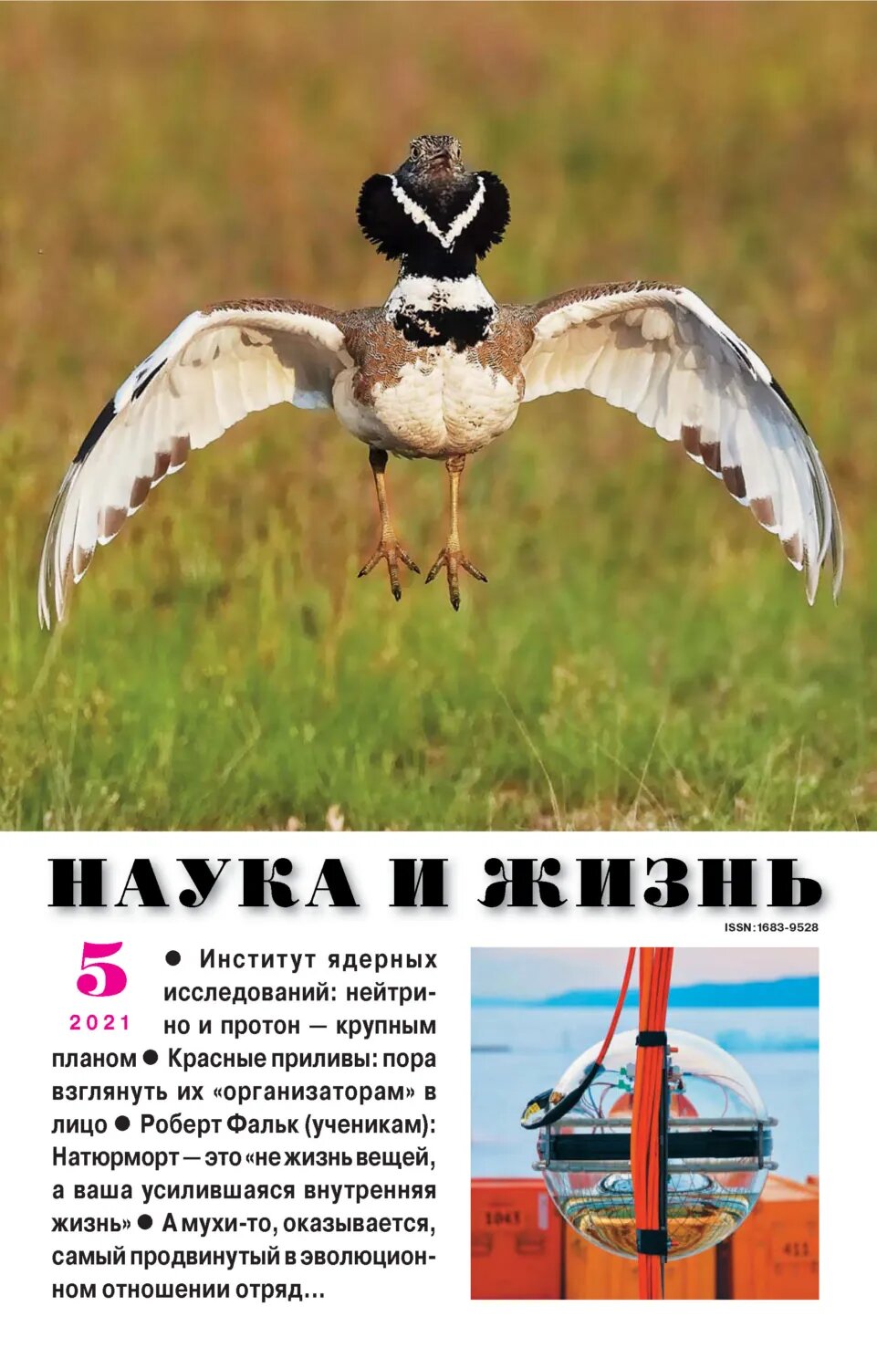 Наука и жизнь №05/2021 [Цифровая книга]