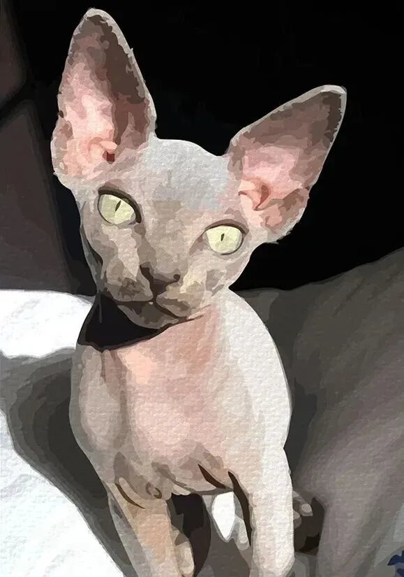 Алмазная Картина "Сфинкс" 5D Круглый Бриллиант 40X50См.