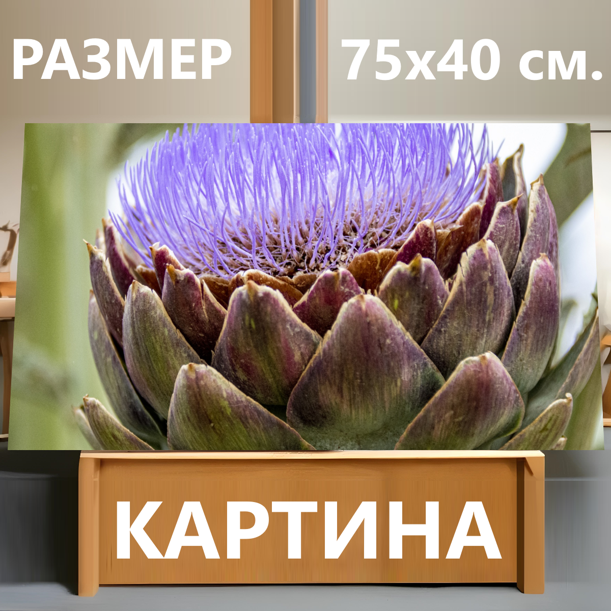 Картина на холсте "Цветущий артишок красивое растение артишок в цвету Артишок овощной цветущий цветение цветок пурпурный природа весна" на подрамнике 75х40 см. для интерьера