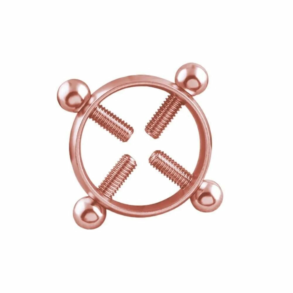 Пара Стимуляторов Сосков, Зажимы Для Сосков Из Нержавеющей Стали, Секс-игрушки