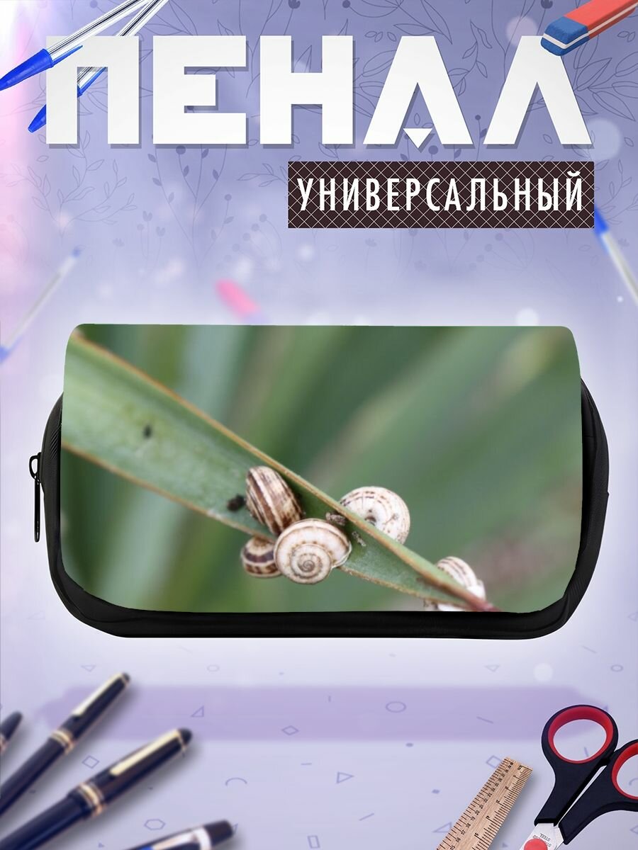Школьный пенал улитка насекомое