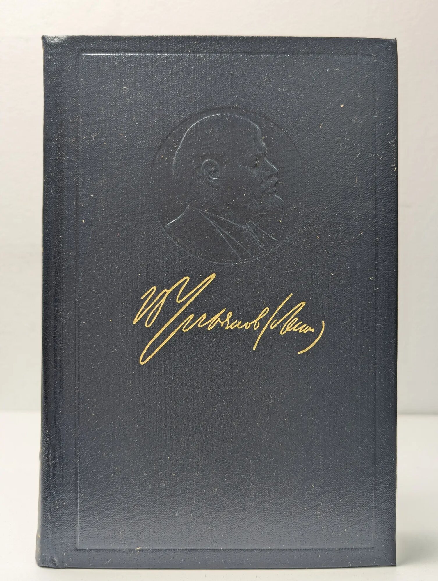 Владимир Ленин. Полное собрание сочинений. Том 19 Ленин Владимир Ильич 1980