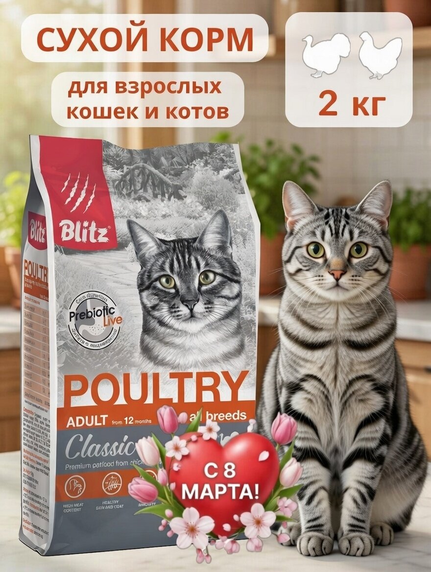 Сухой корм для взрослых кошек Blitz Poultry домашняя птица, 2 кг