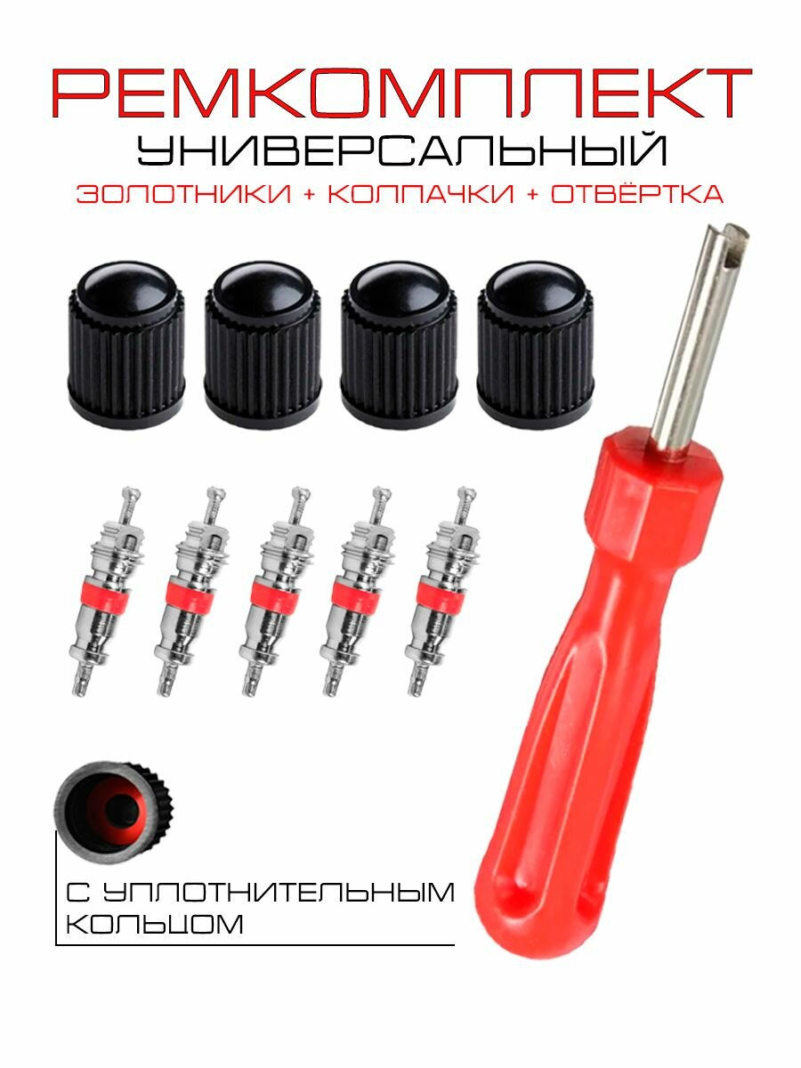Комплект золотников, и колпачков с отверткой для ниппеля