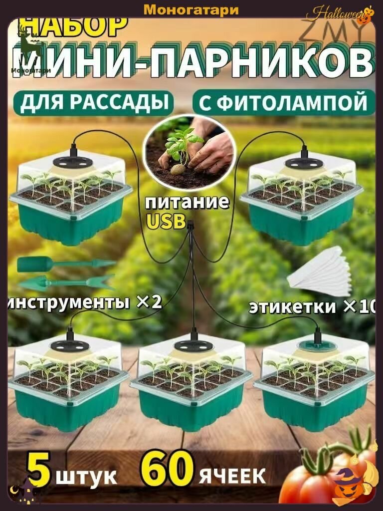 Набор для рассады
