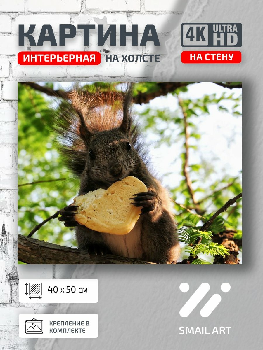 Картина на холсте интерьерная 40 на 50 на стену Хлеба Mood для студии атмосфера интерьер