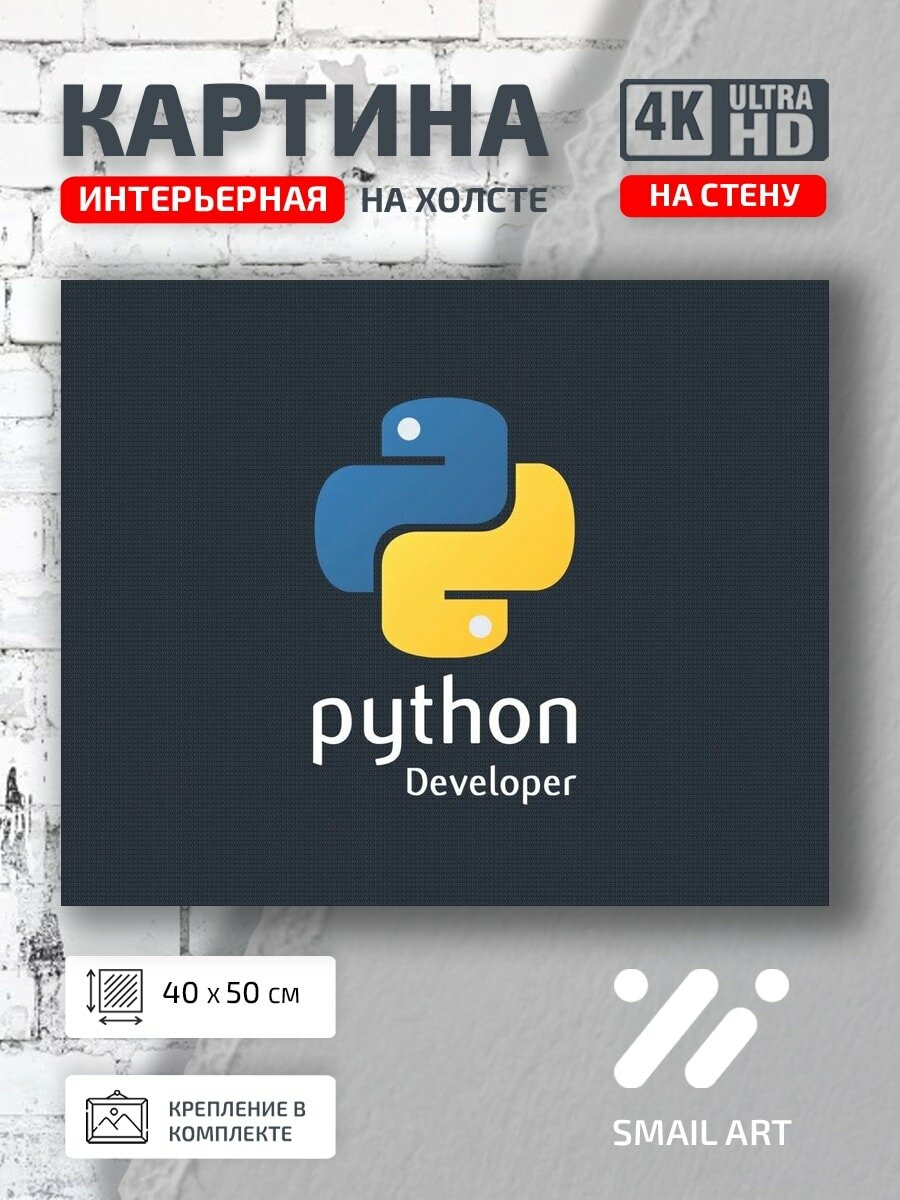 Картина на холсте интерьерная 40 на 50 на стену Python Dev для студии атмосфера
