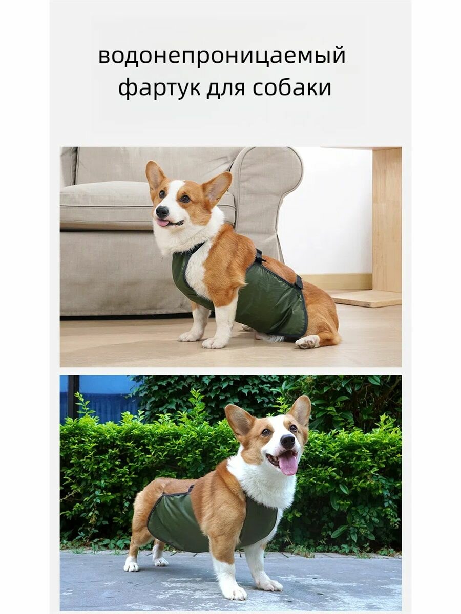 Одежда для животных